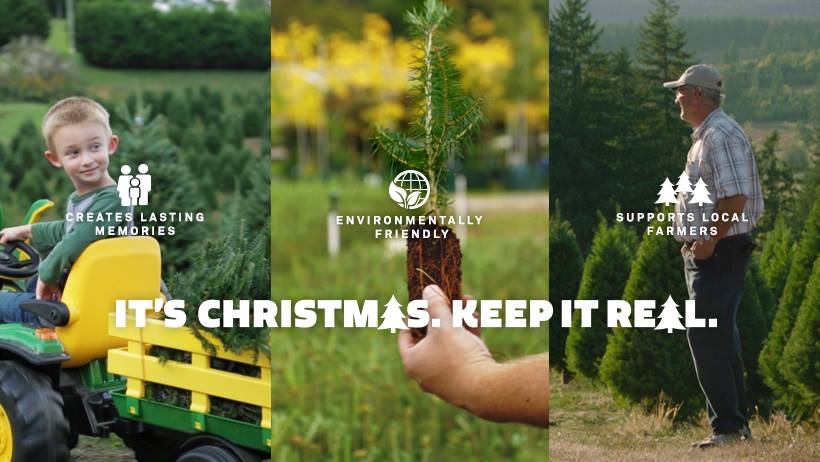 Plan Your Visit – Bell's Christmas Trees