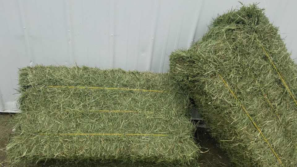 Topsoil, Gravel, Hay – Bell's Christmas Trees